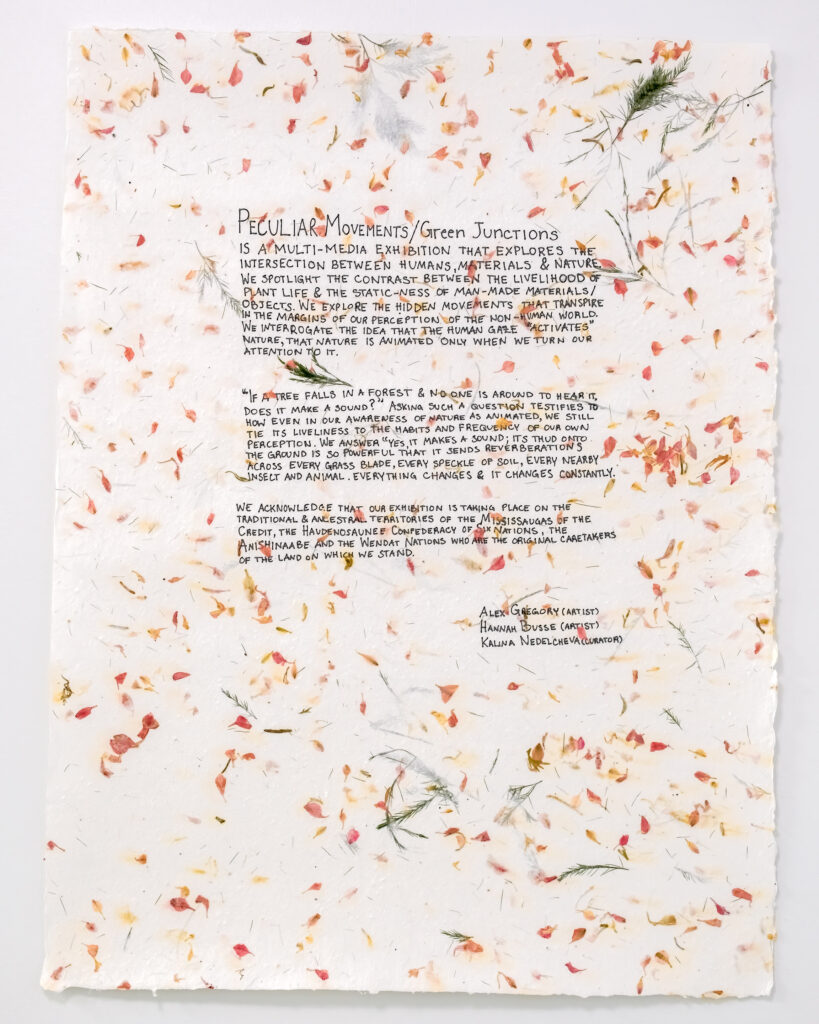 Peculiar Movements / Green Junctions | NAMARA projects