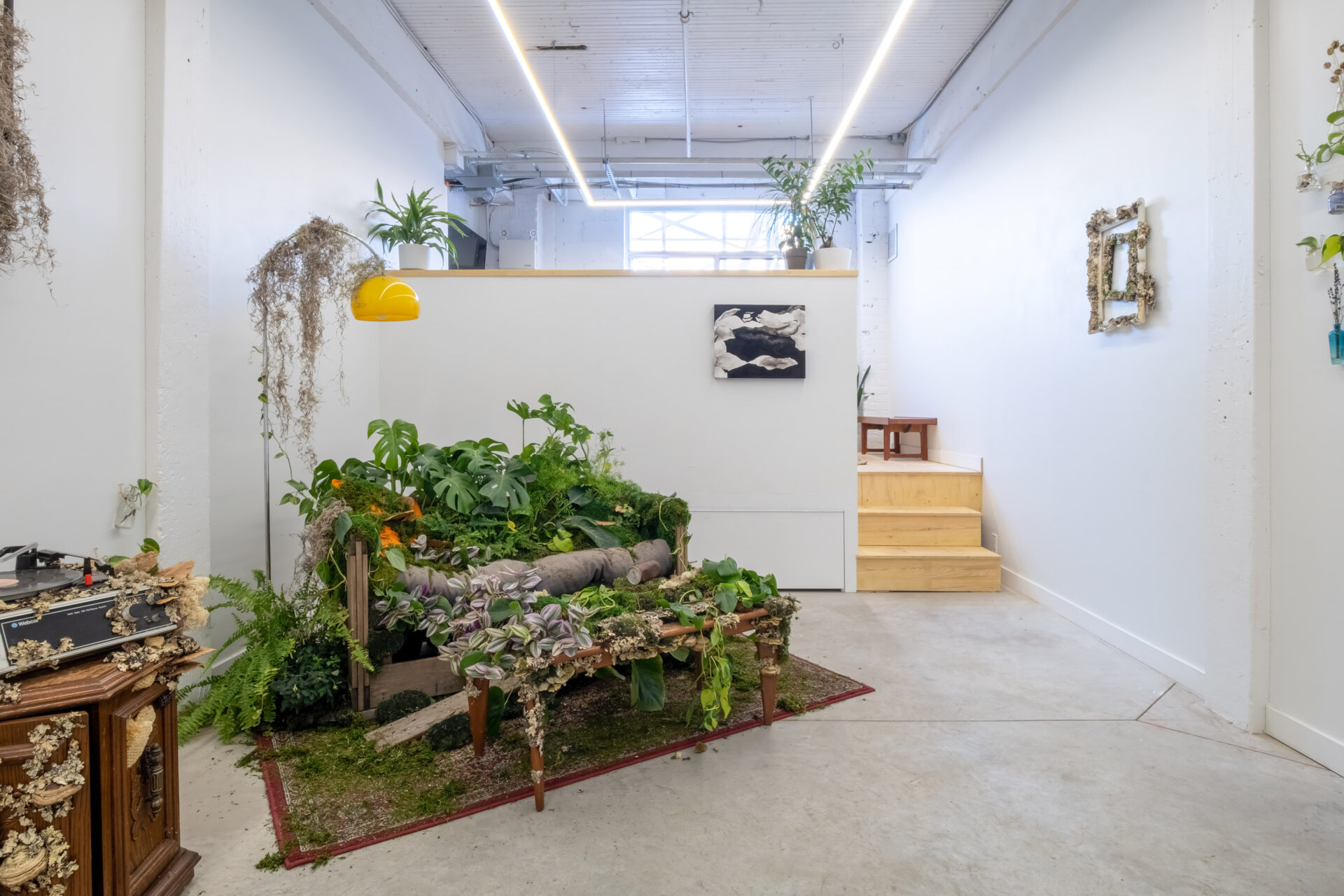 Peculiar Movements / Green Junctions | NAMARA projects